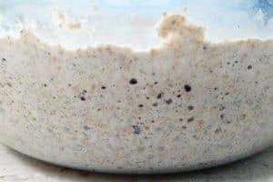 Making Long Fermented Bread - Food Converter