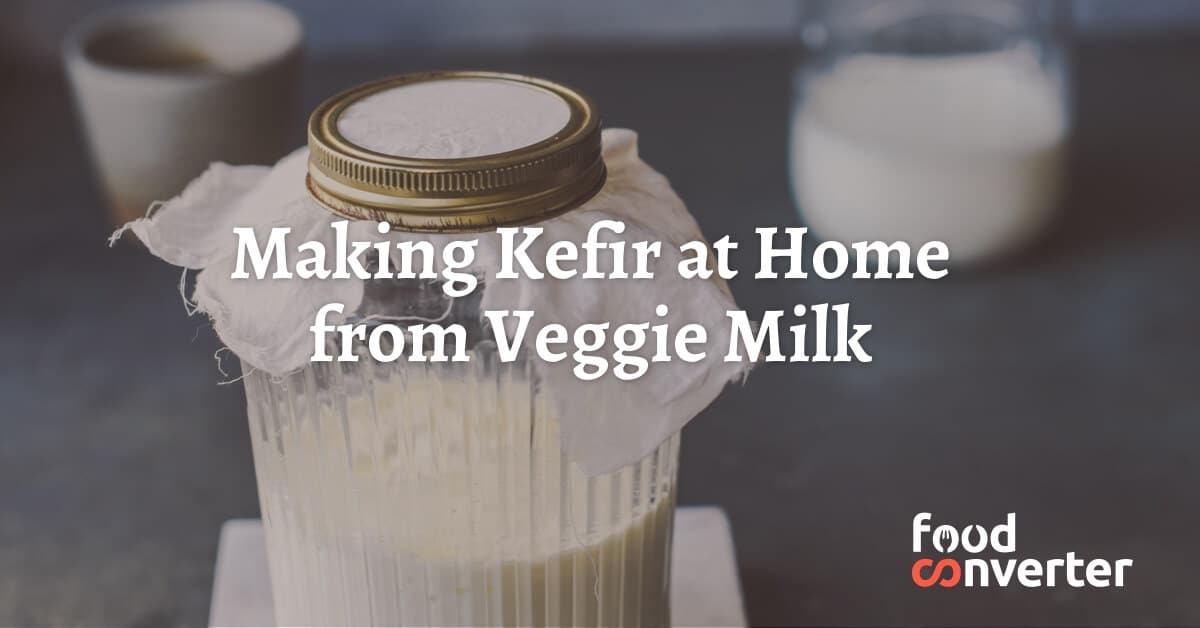 Making Kefir at Home From Veggie Milk - Food Converter