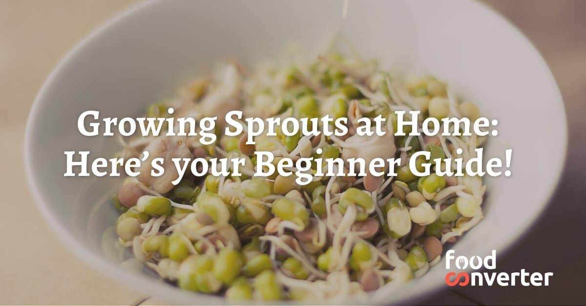 Growing Sprouts at Home: Here’s Your Beginner Guide! - Food Converter